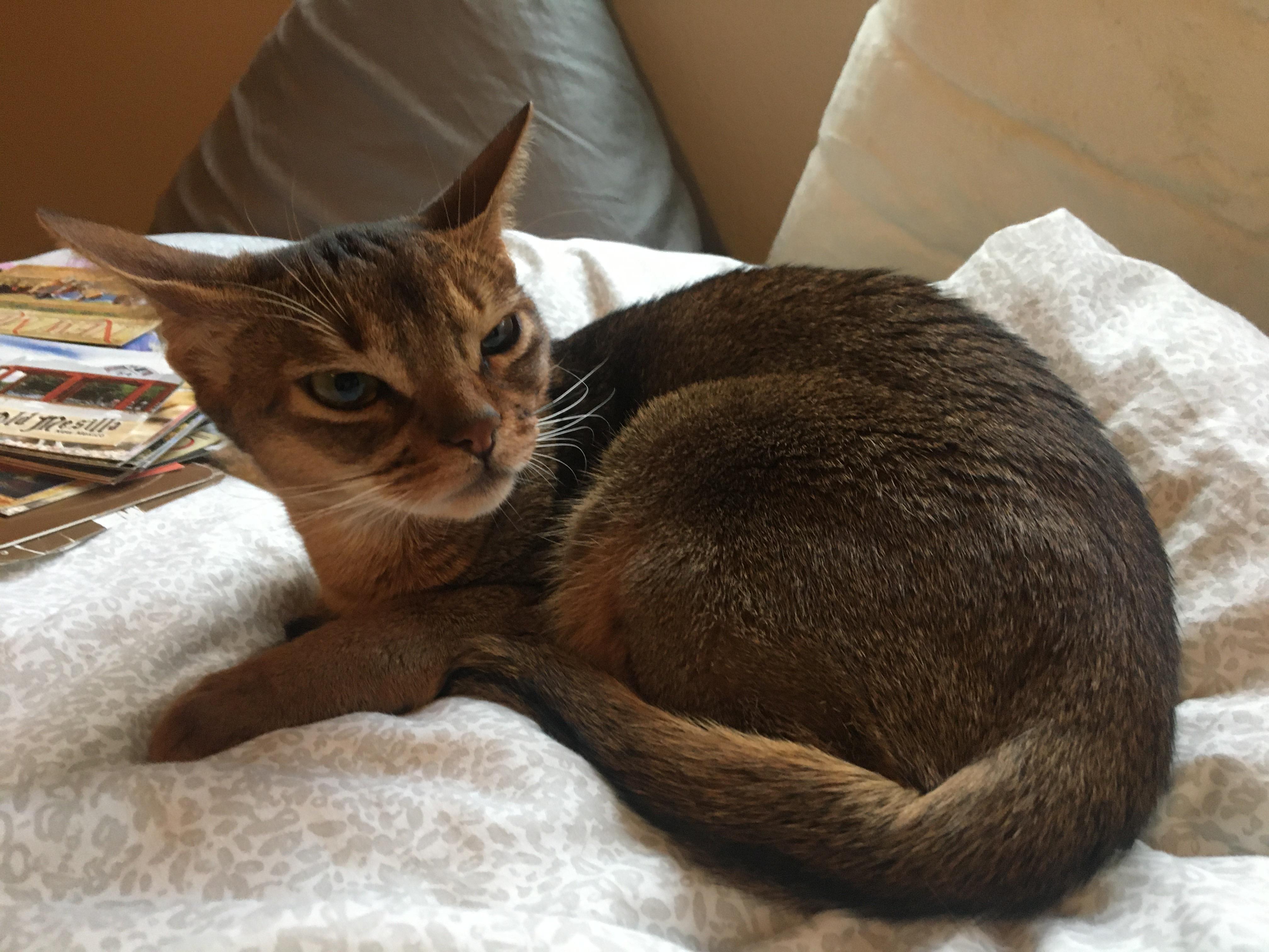 A chronic case of RBF | Scrolller