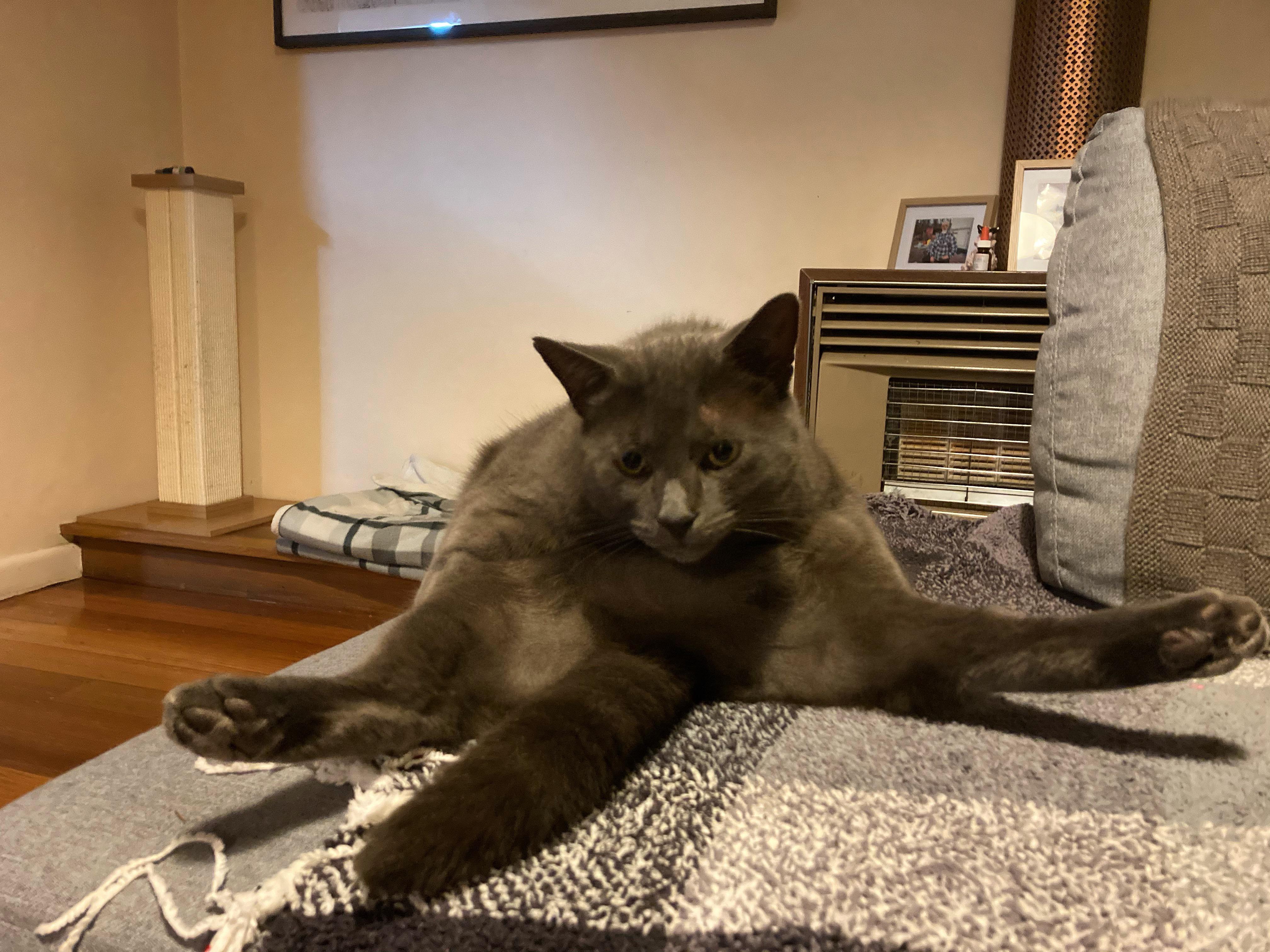 A completely normal way to sit and contemplate life | Scrolller