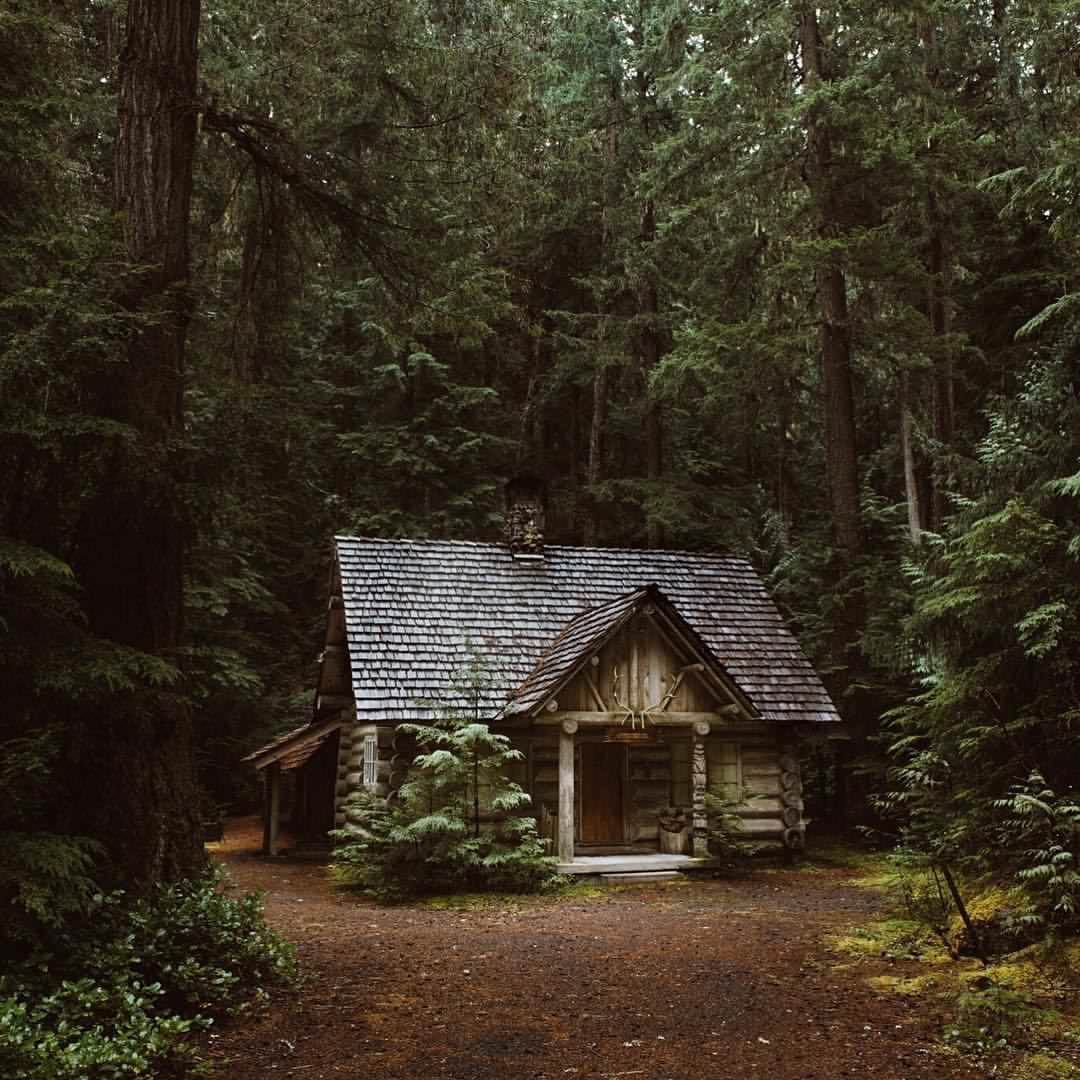 A cozy cabin in a forest clearing | Scrolller