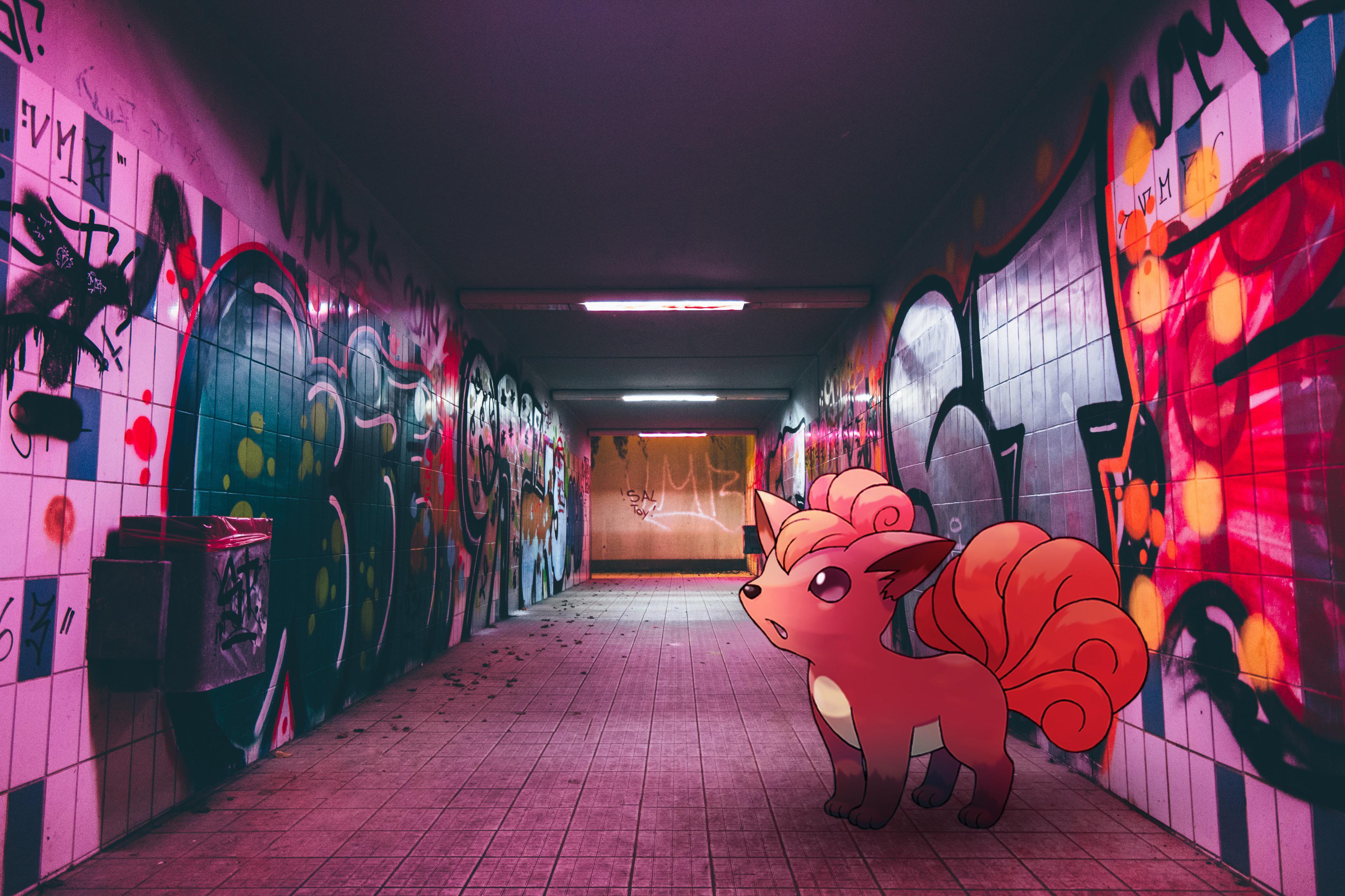 A curious Vulpix | Scrolller