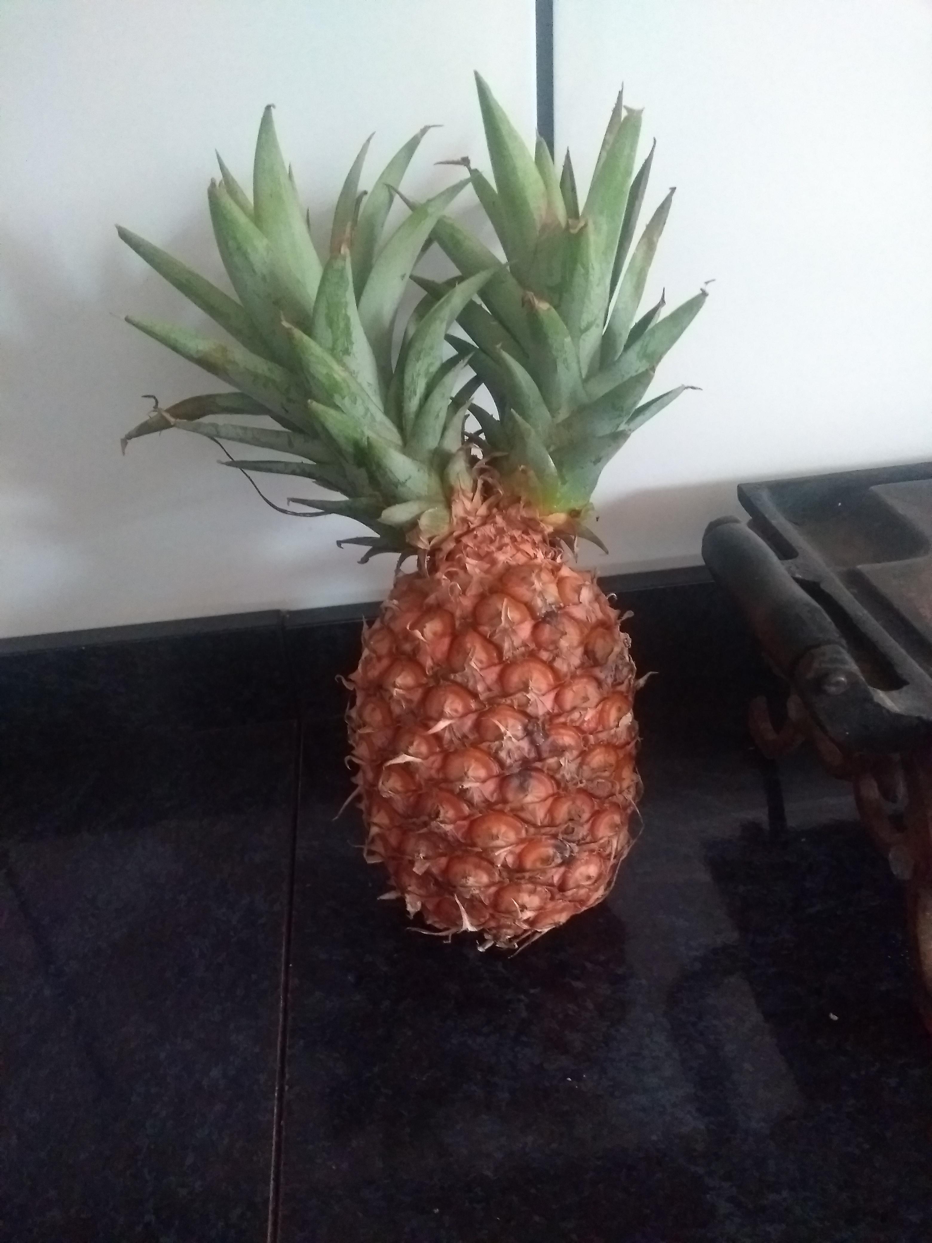A double crowned pineapple | Scrolller