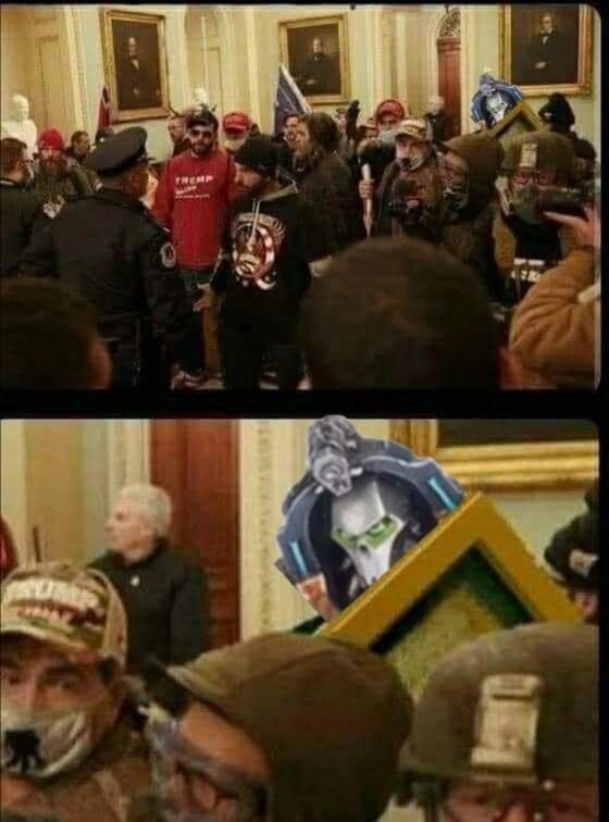 A fine addition to my carefully curated collection | Scrolller