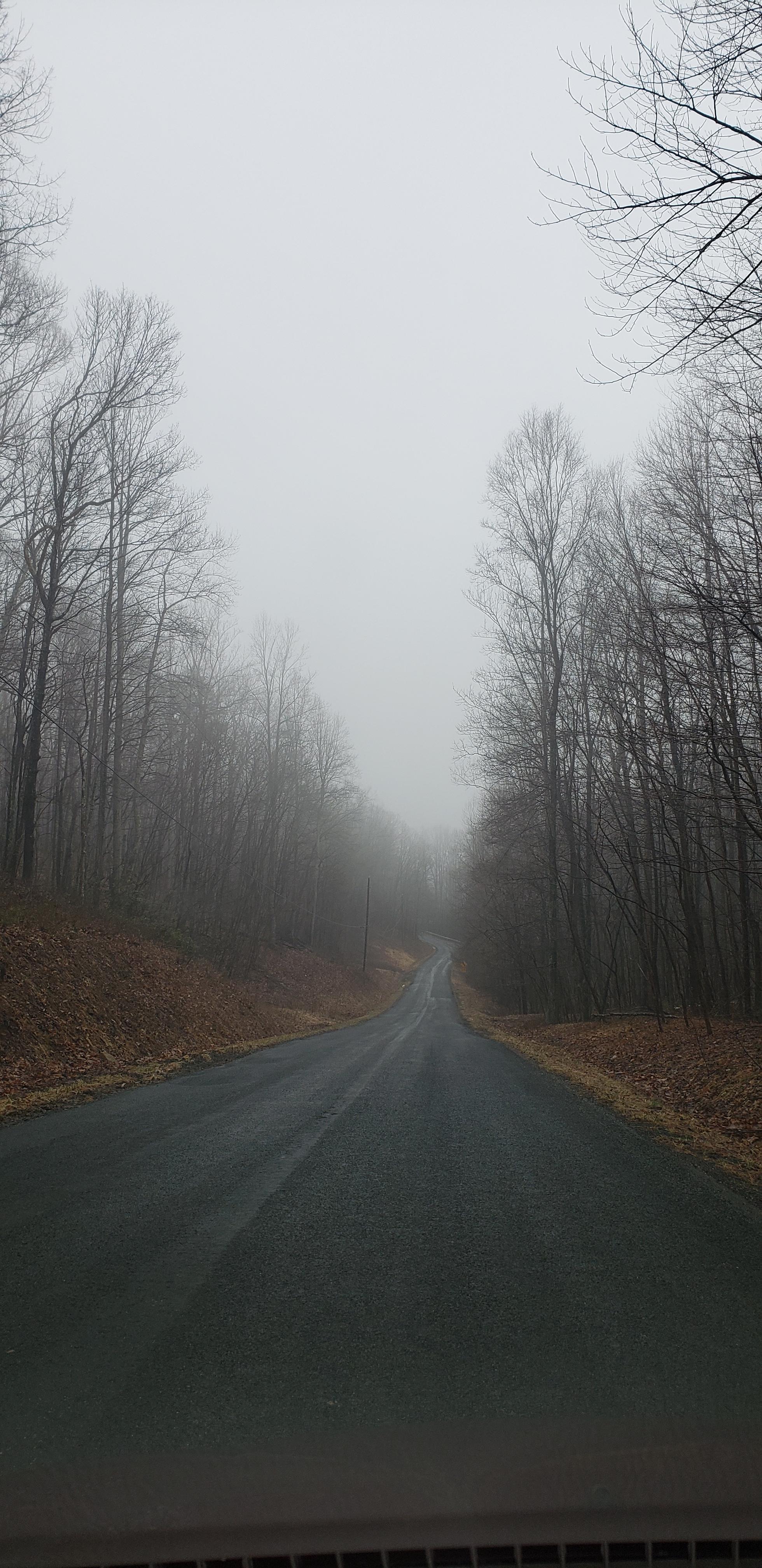 A Foggy Morning in Virginia | Scrolller