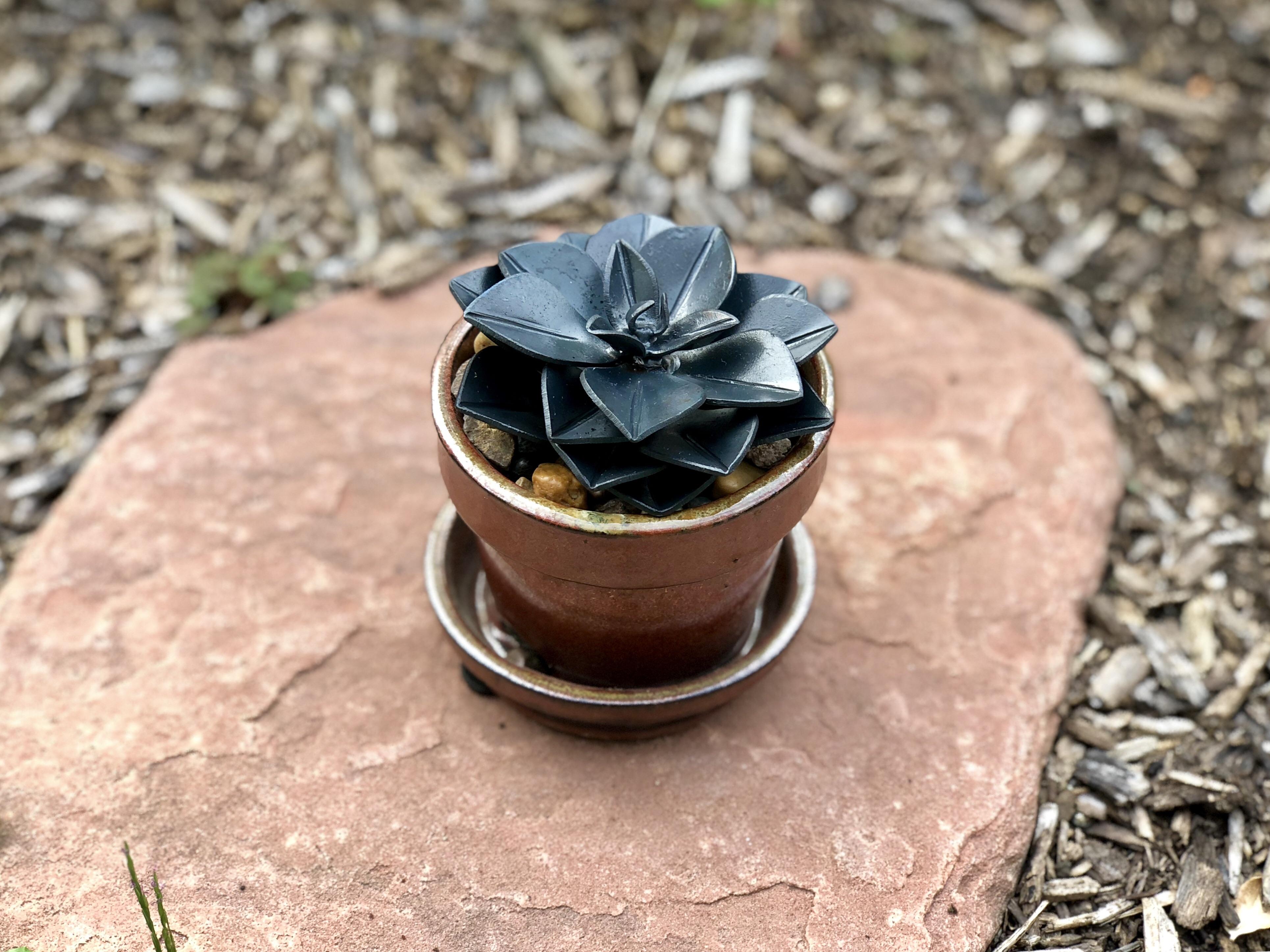 Forged and fabricated rosette succulent | Scrolller
