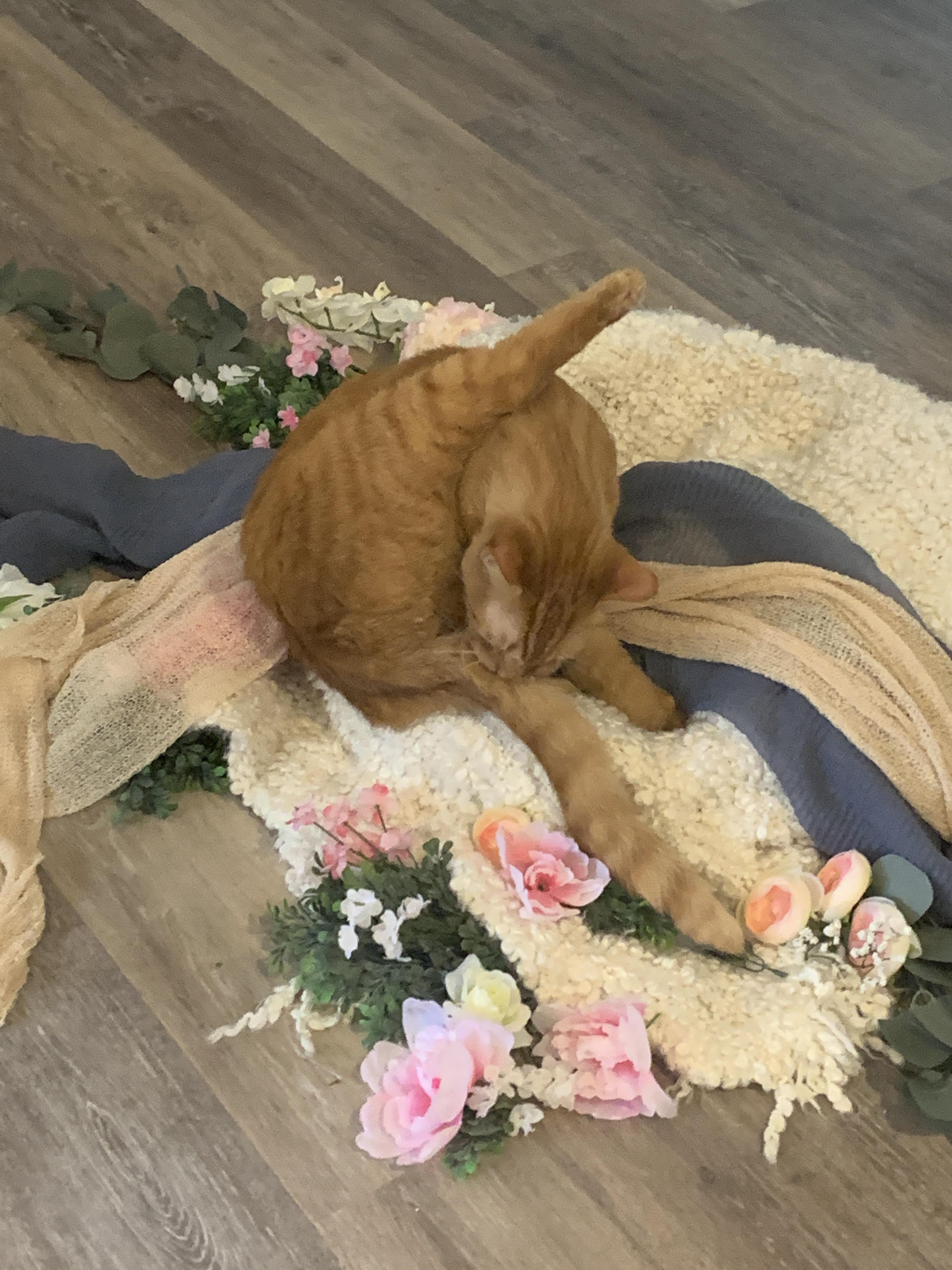 A friend of ours came over to take pictures of our newborn. What a ...