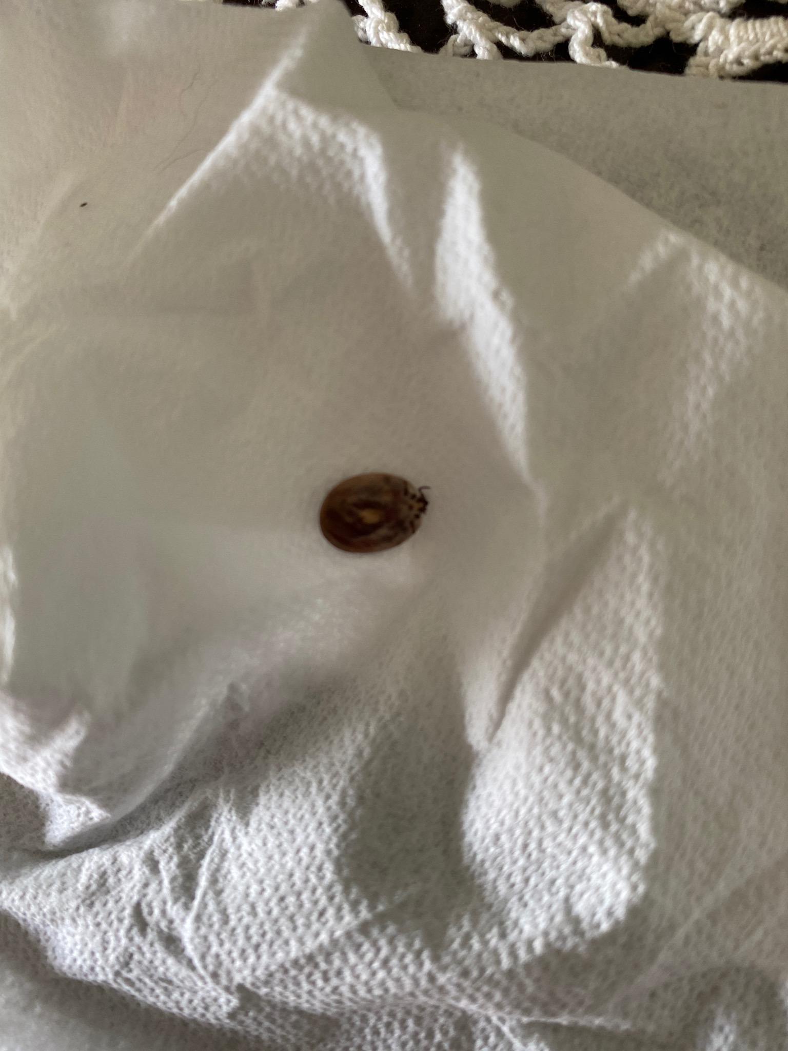 A full one, nice find. | Scrolller