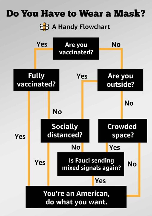A handy flow-chart for you | Scrolller