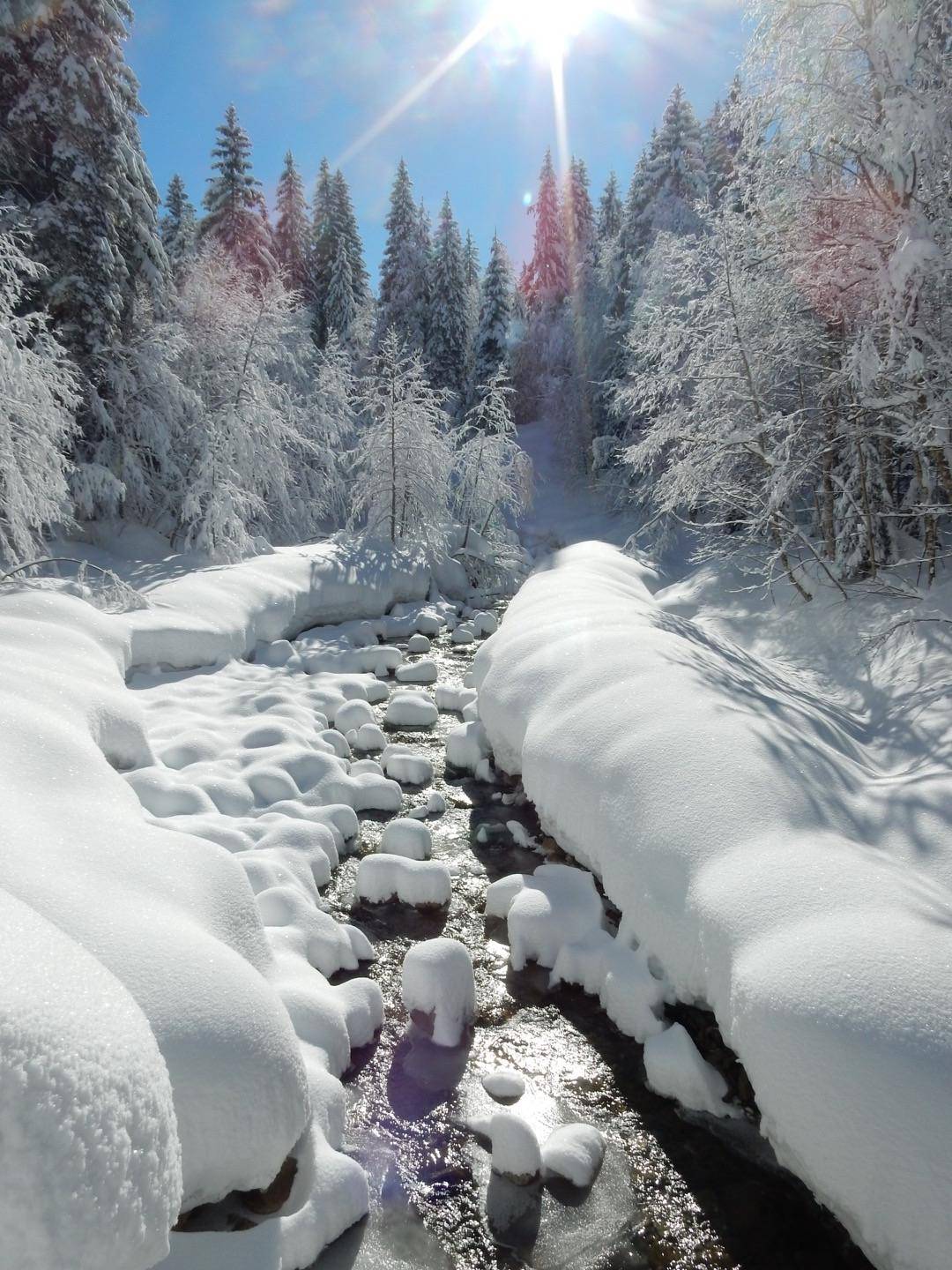 A happy winter stream | Scrolller