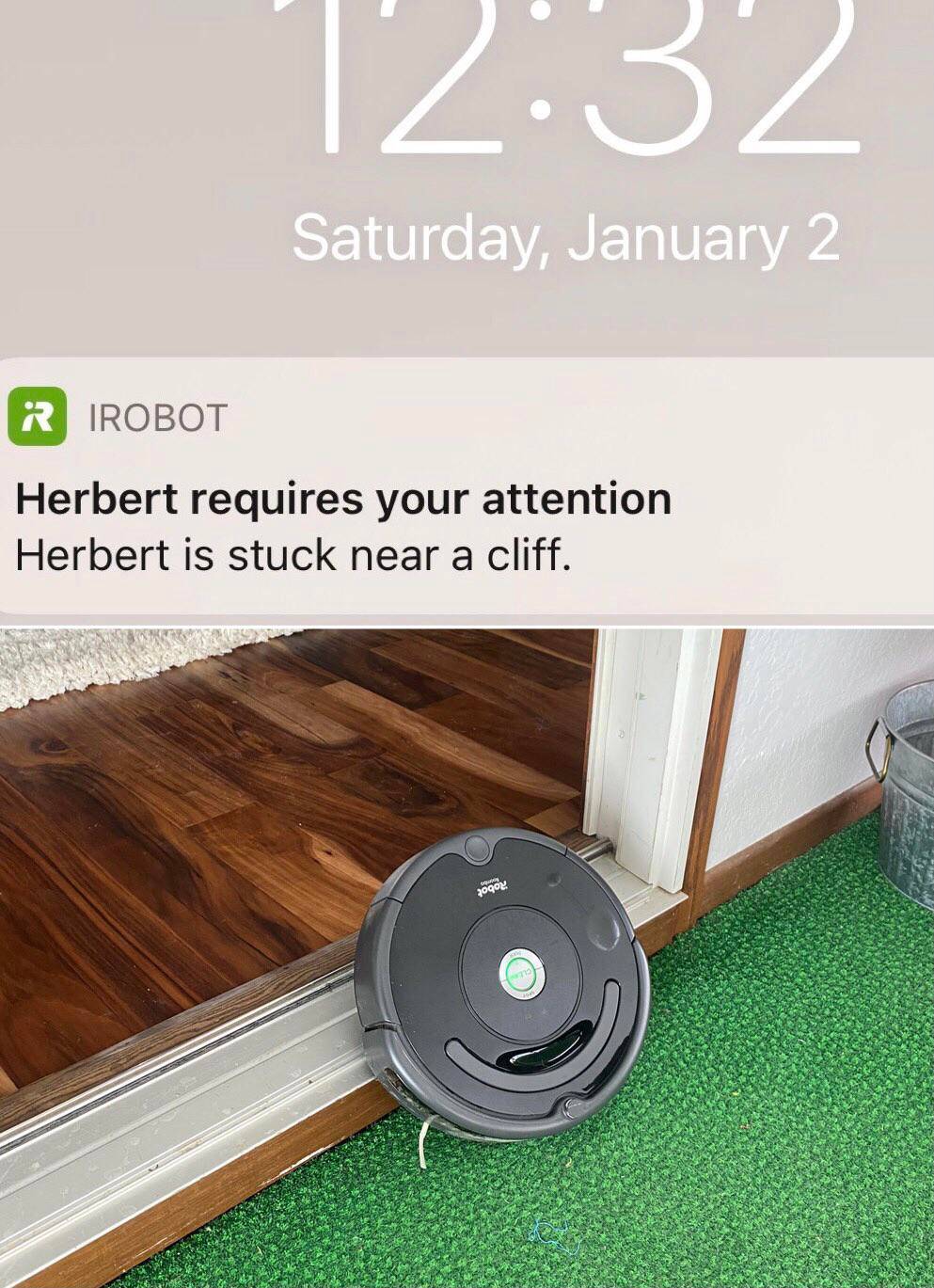 A little bit dramatic, Herbert | Scrolller