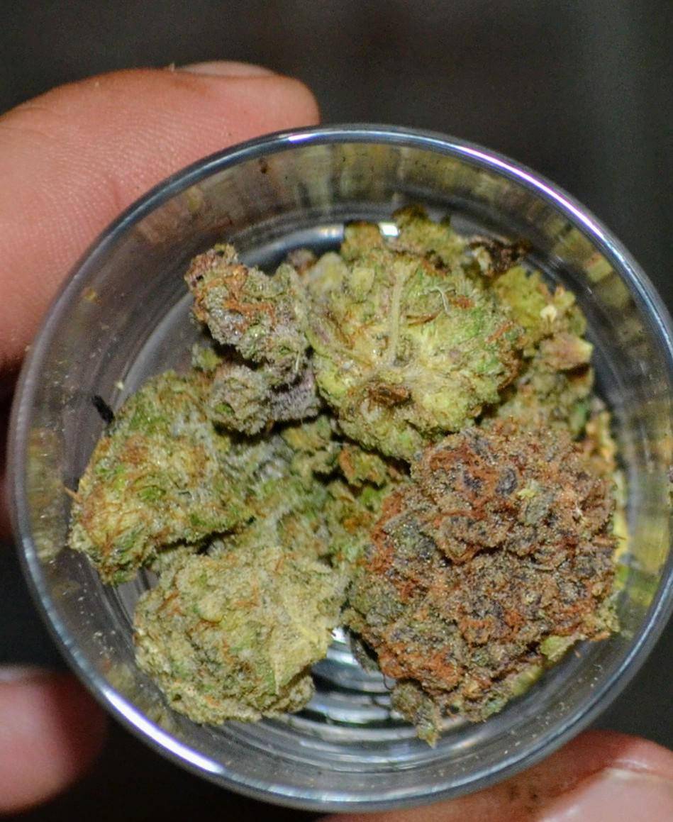 A little mixture of buds | Scrolller