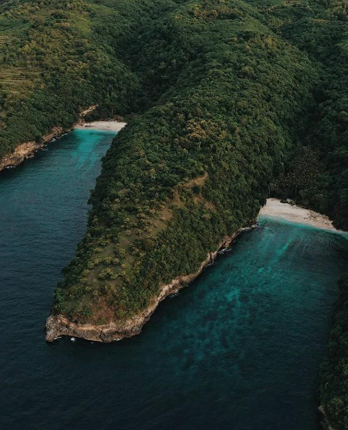 A moss covered crocodile | Scrolller