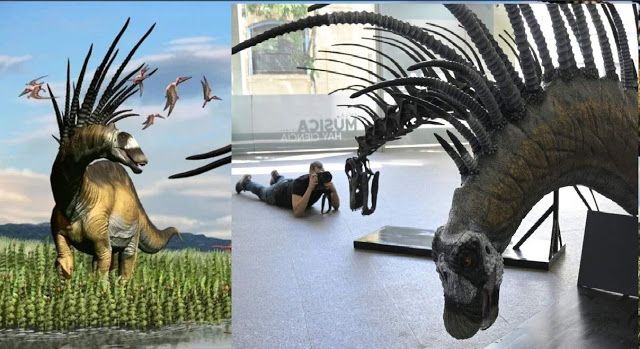 A new dinosaur species with a spiky neck discovered in Argentina ...