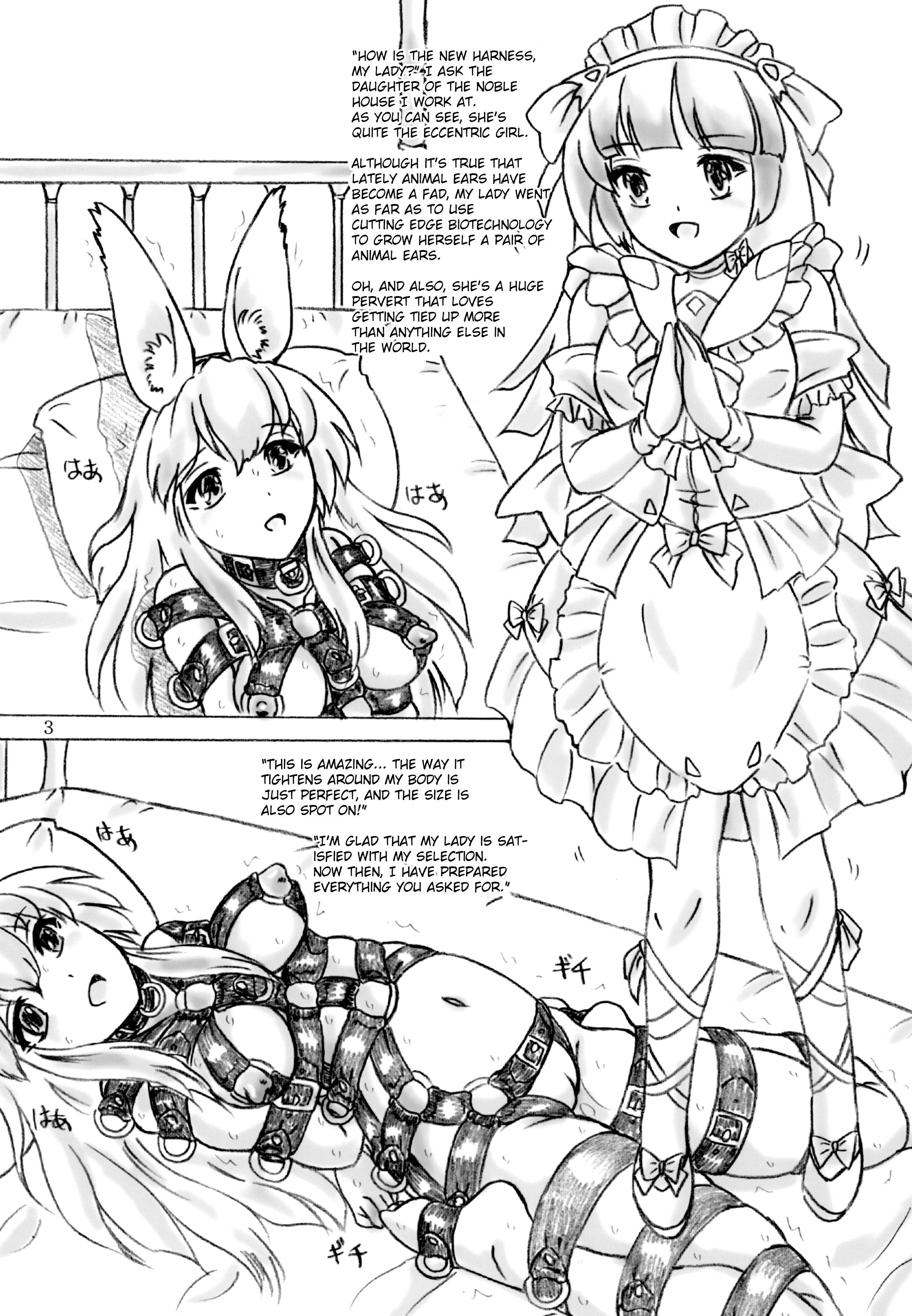 Hobby of a noble girl (translation commission) | Scrolller