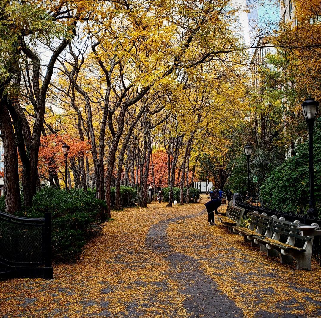 A November stroll through Robert Wagner Park, NYC | Scrolller