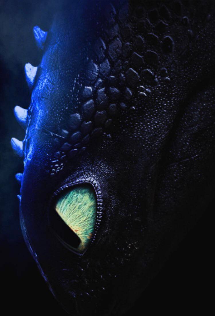 A pfp you can use if you love toothless 😂 | Scrolller