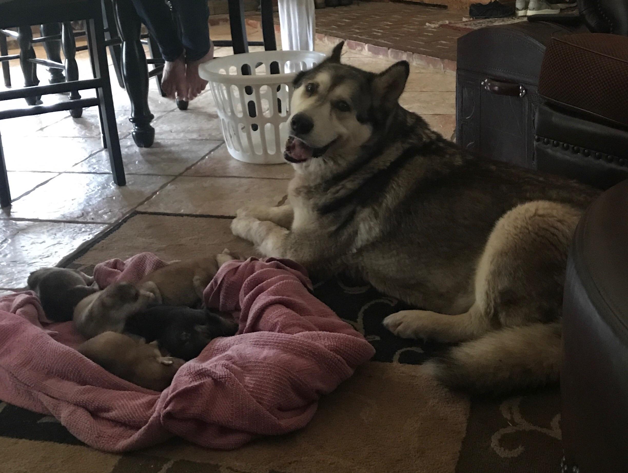 A proud mama with her babies! | Scrolller