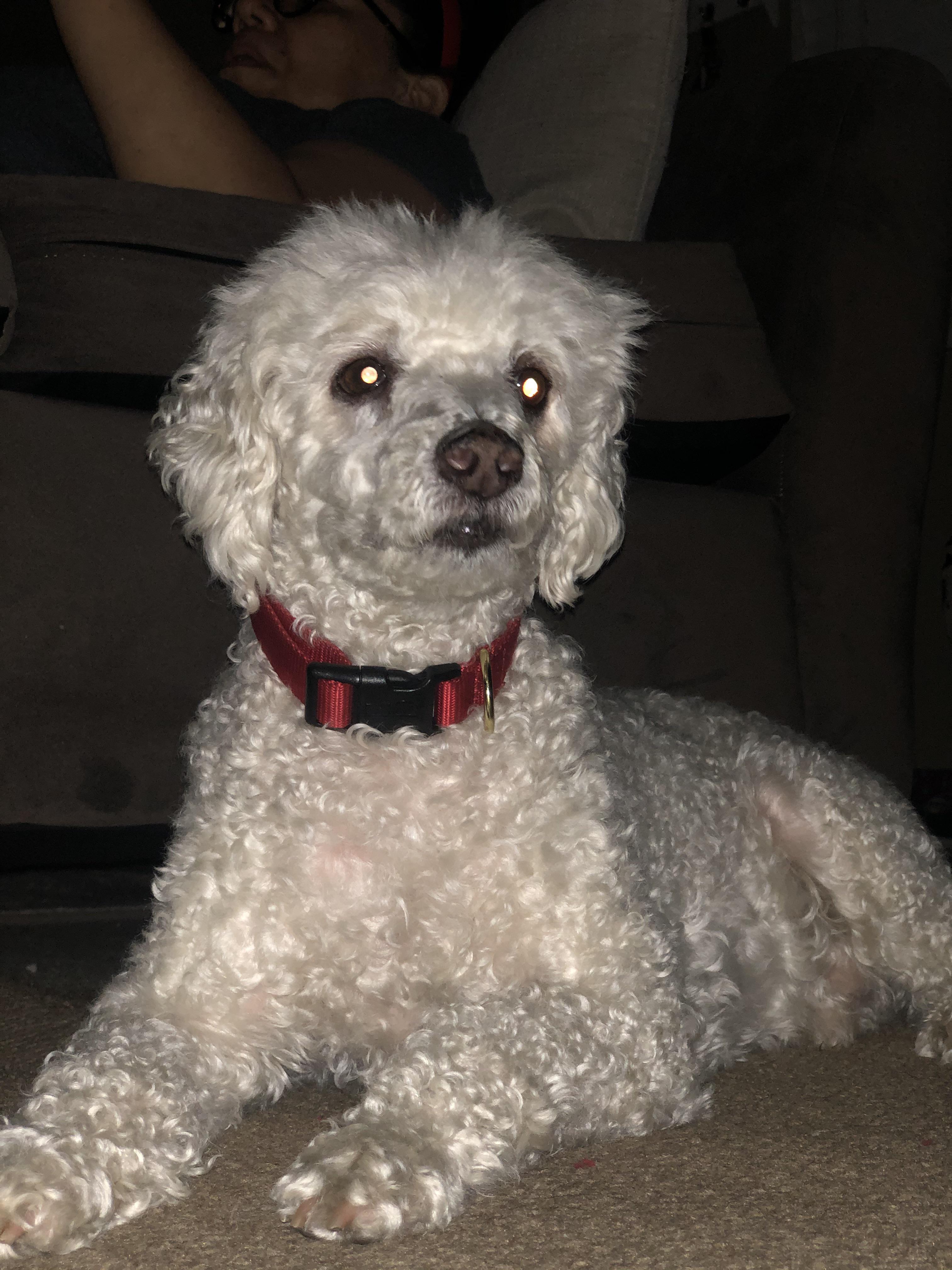 A rare moment of Jack Jack looking regal as hell | Scrolller