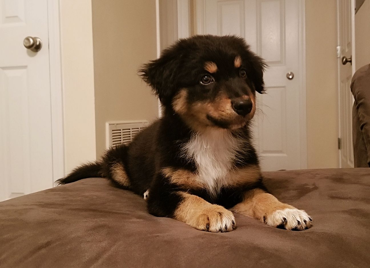 A rare photo op | Scrolller