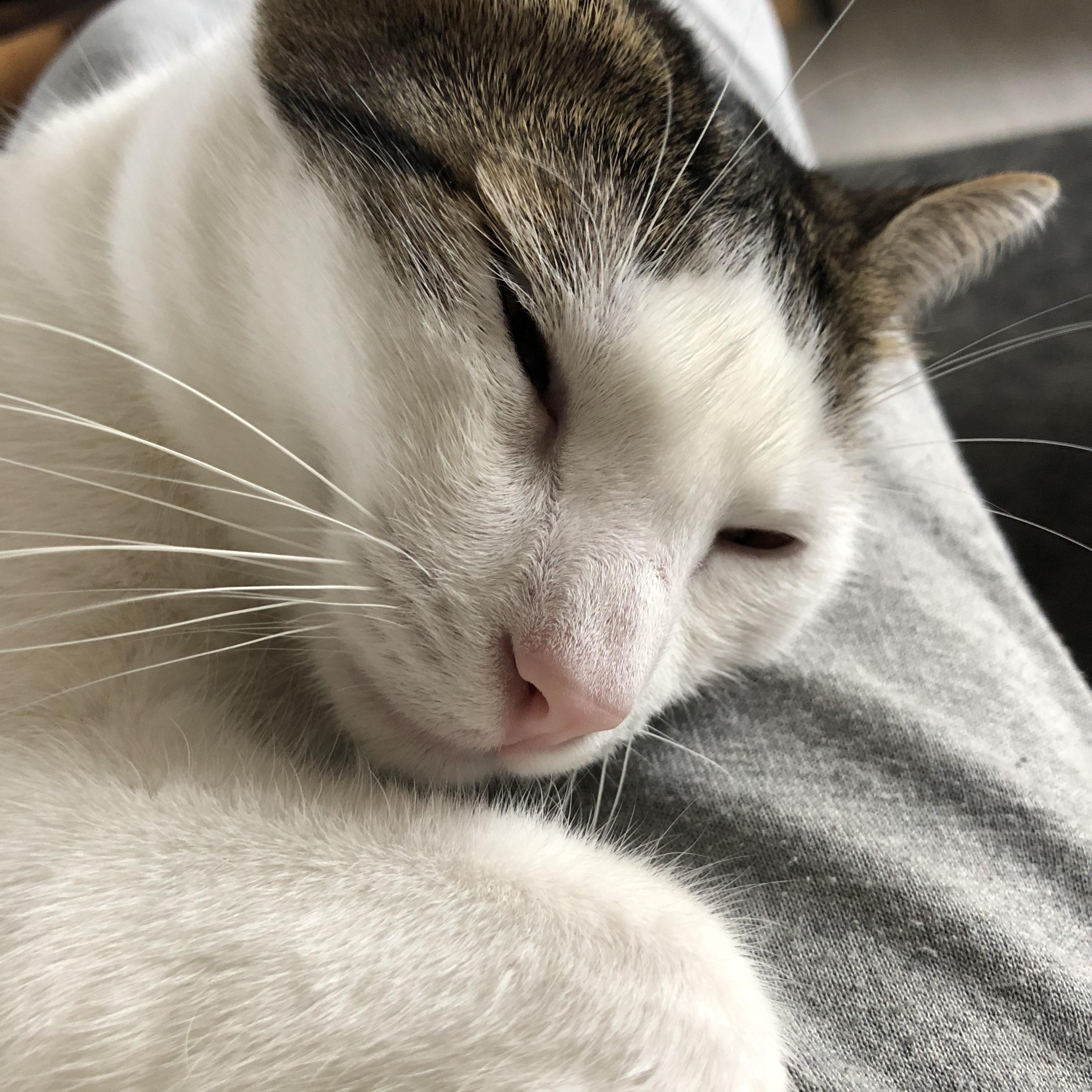 A rare quiet moment | Scrolller