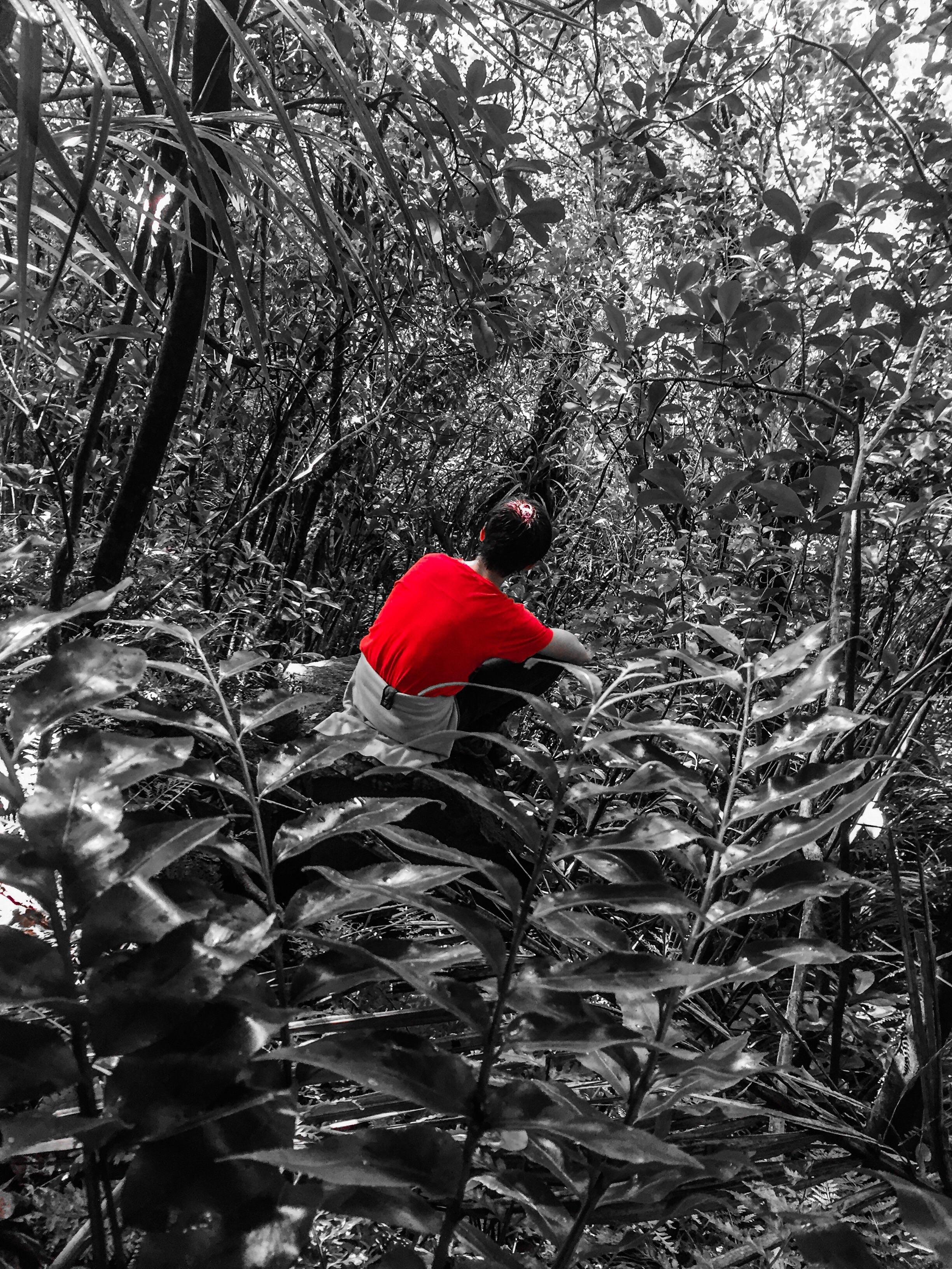 A red boy in a grey forest | Scrolller