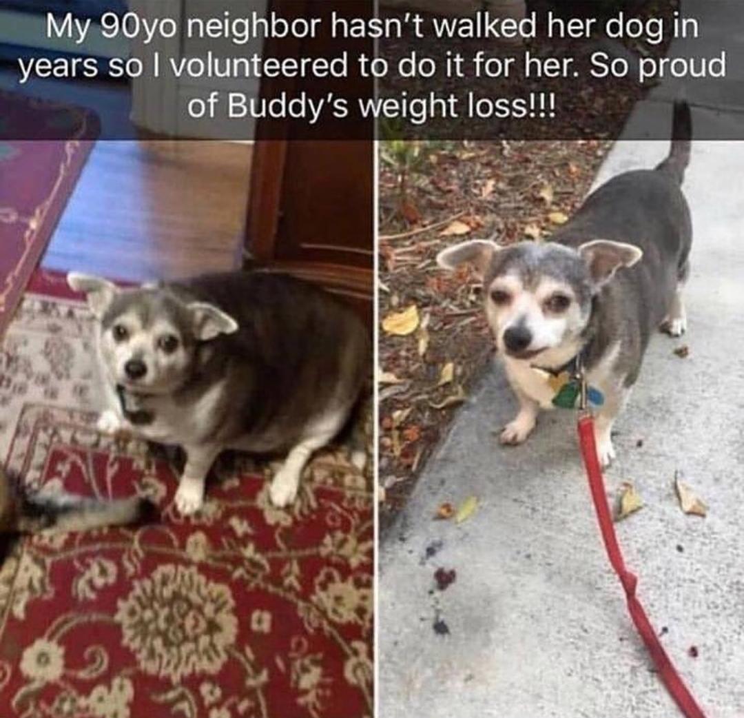 A reformed UNIT | Scrolller