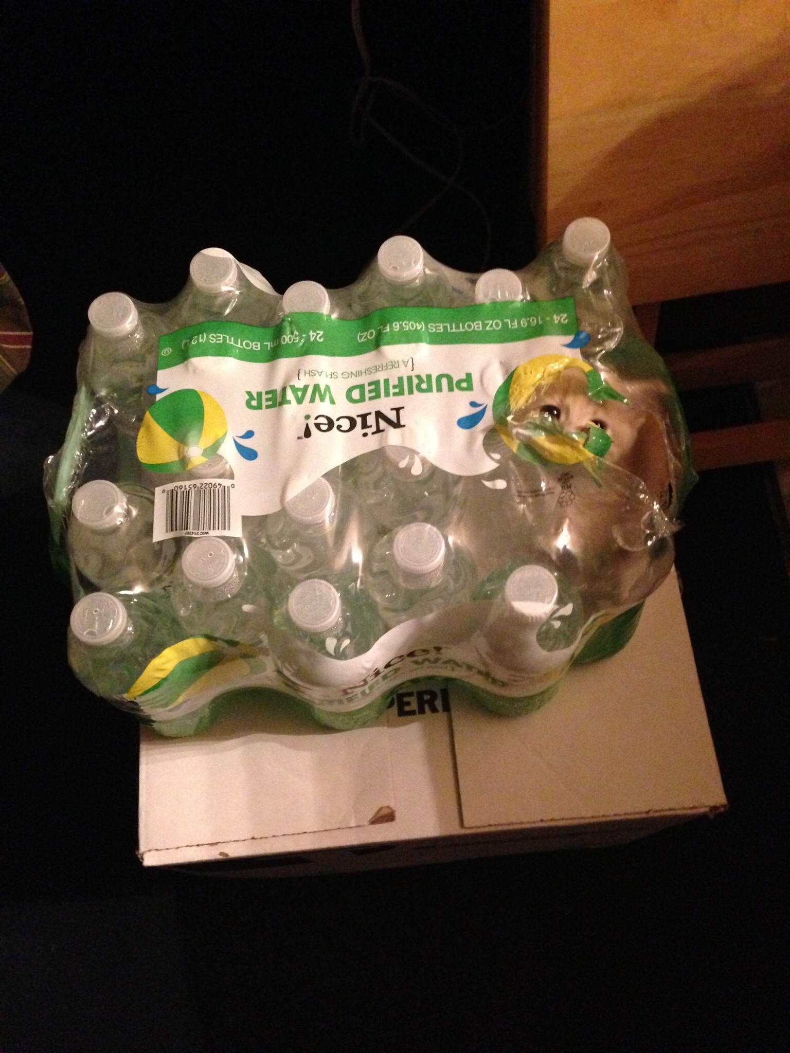 [A REFRESHING SPLASH] | Scrolller