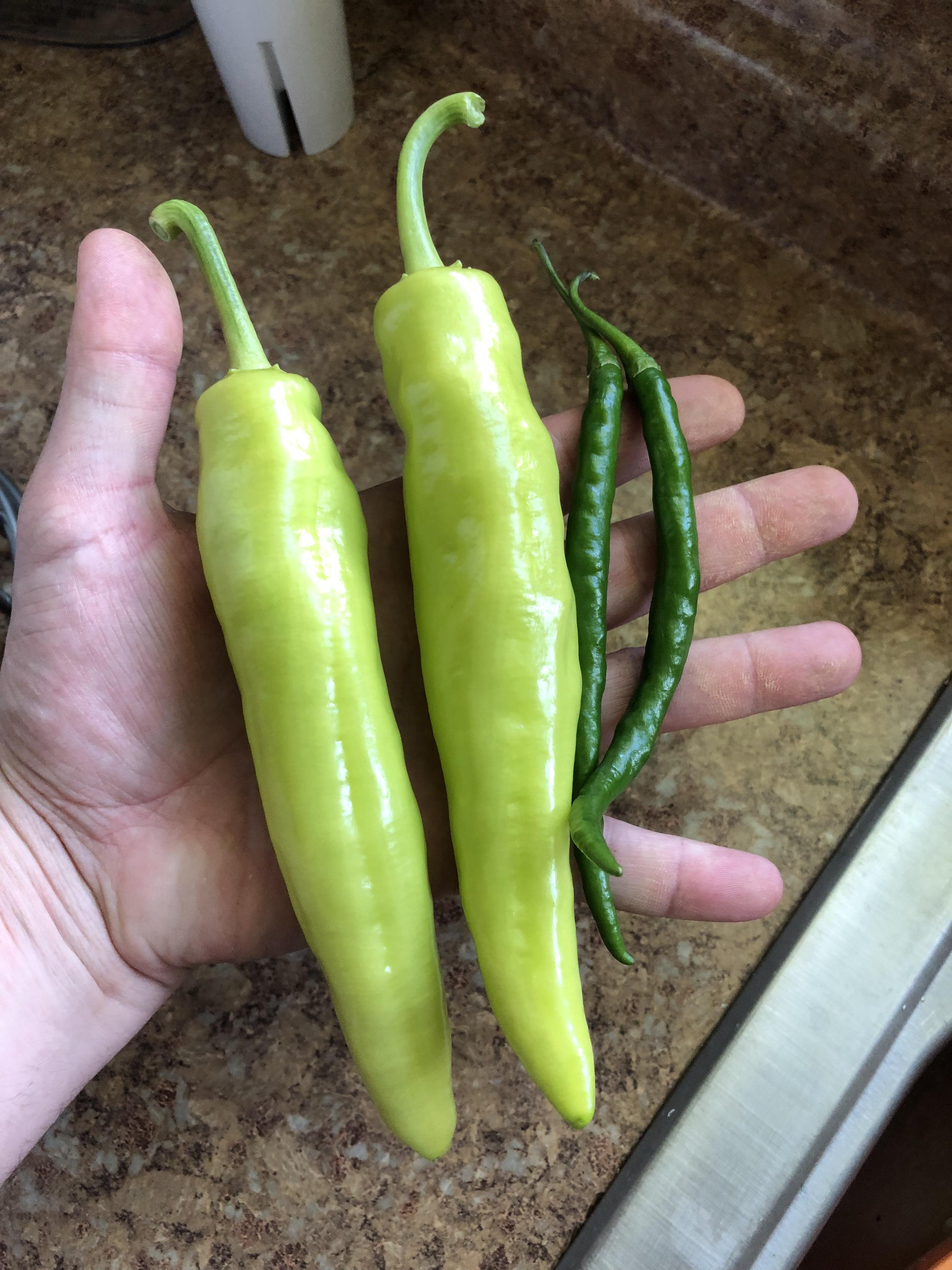 A sampling of my banana and cayenne peppers | Scrolller