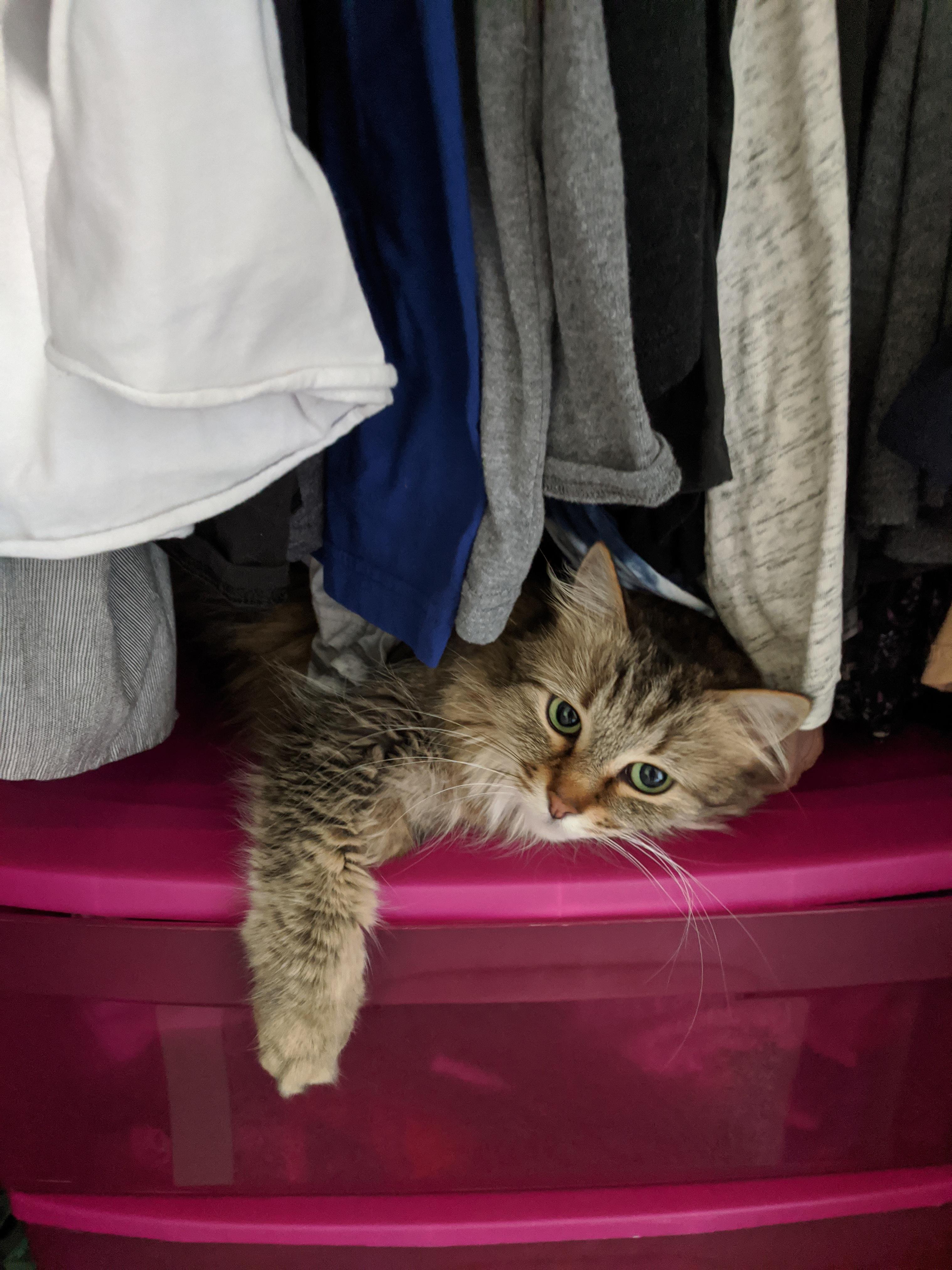 A simple dangle. | Scrolller