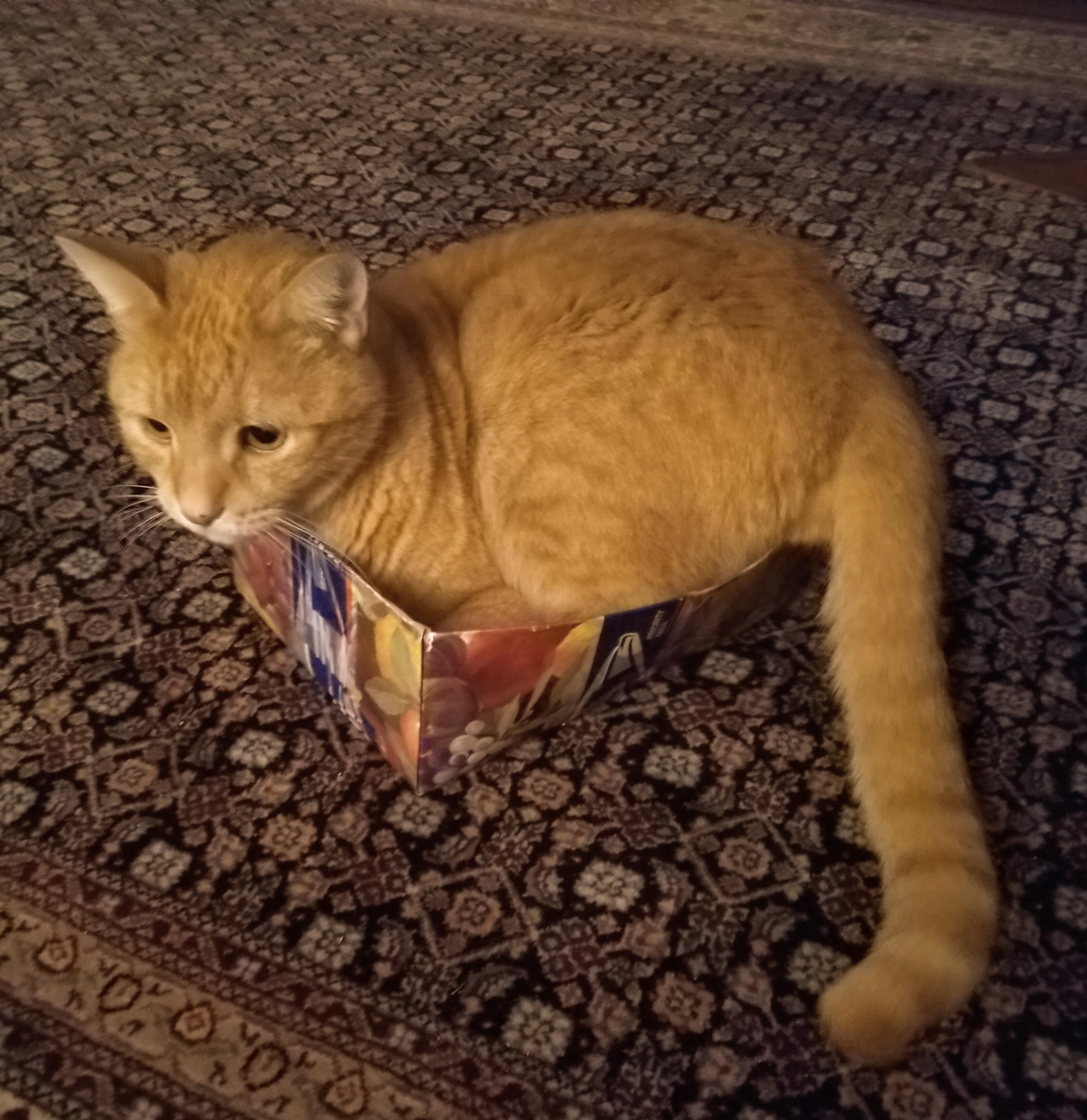 A small but very effective trap | Scrolller