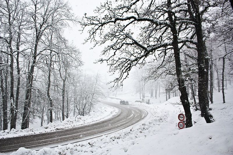 A snowy forest road in Tabarka, Tunisia (yes, the Tunisia that's in Africa!) [800x533] | Scrolller