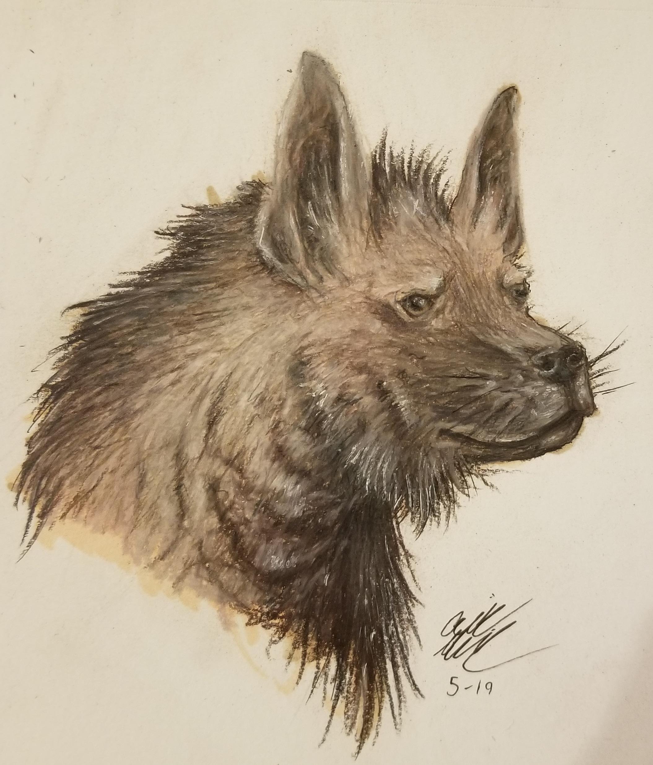 A striped hyena; made by me. | Scrolller