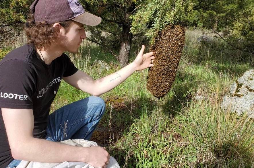 In the eye of the Swarm | Scrolller