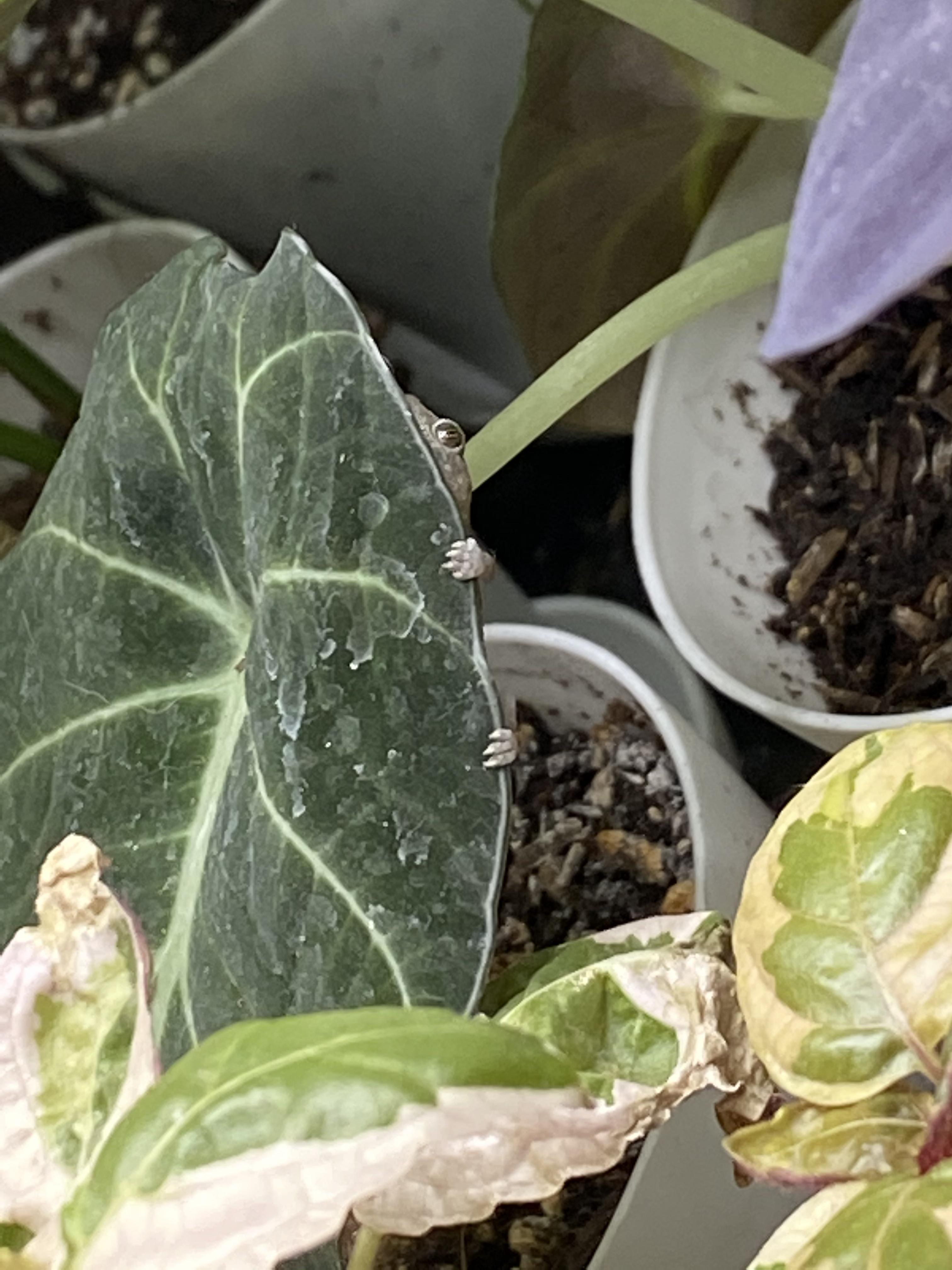 A tiny visitor | Scrolller