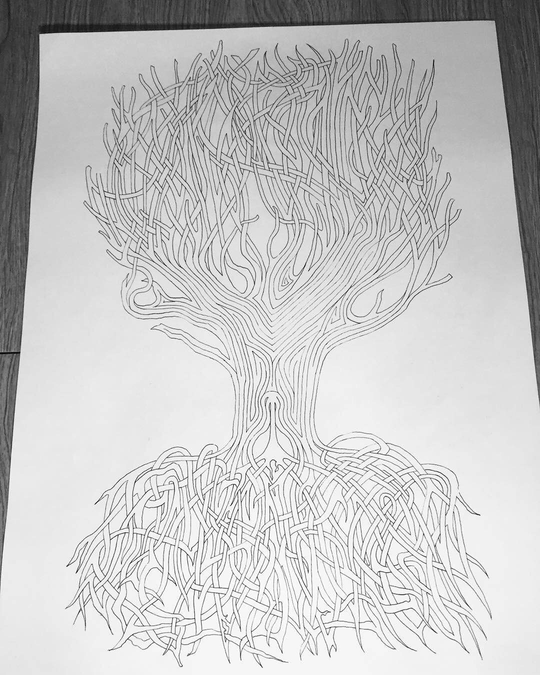 A tree maze. Start and finish in the trunk. | Scrolller