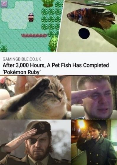 A true gamer | Scrolller