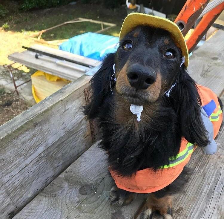 Construction boii | Scrolller