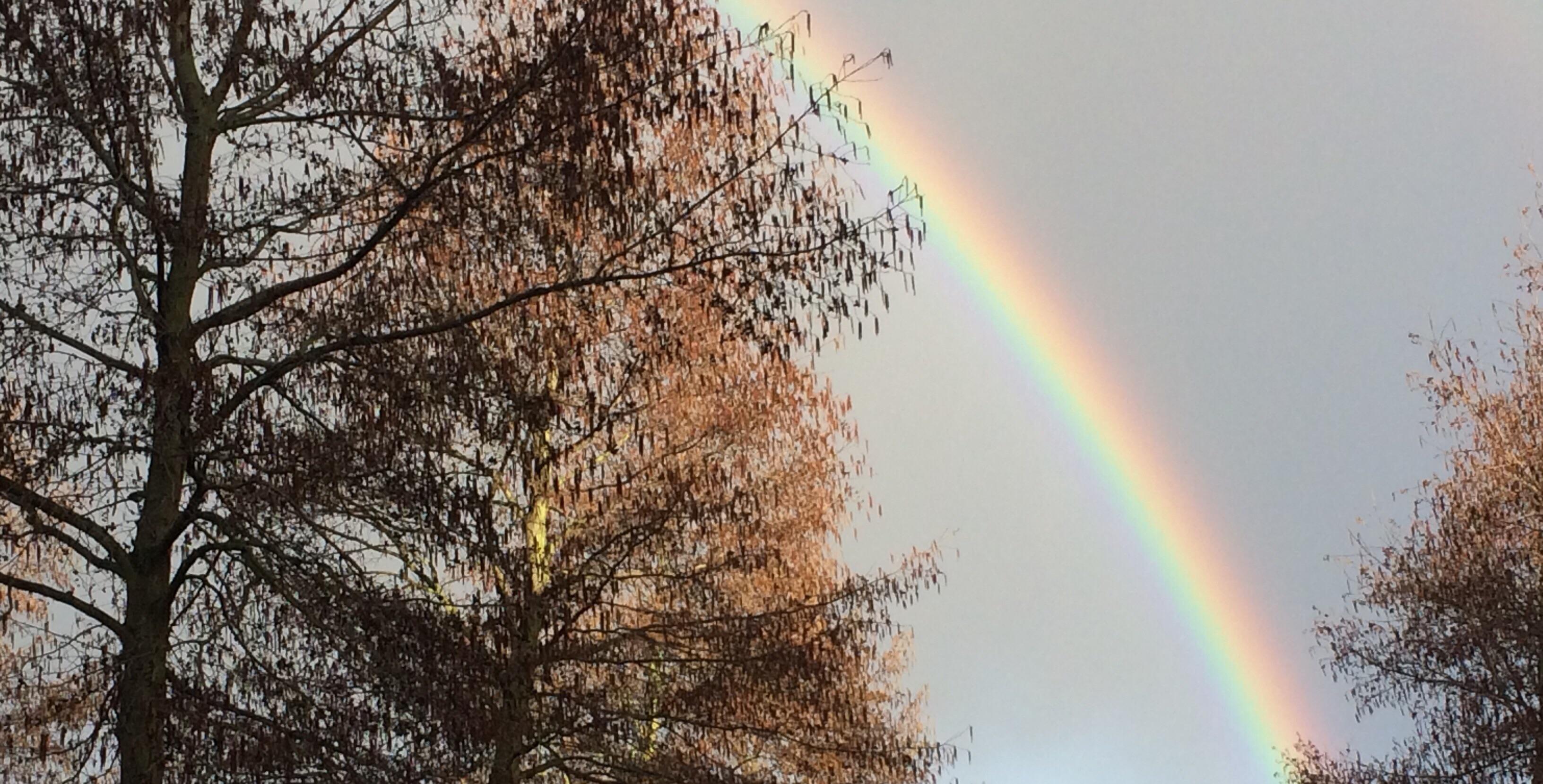 A very nice rainbow | Scrolller