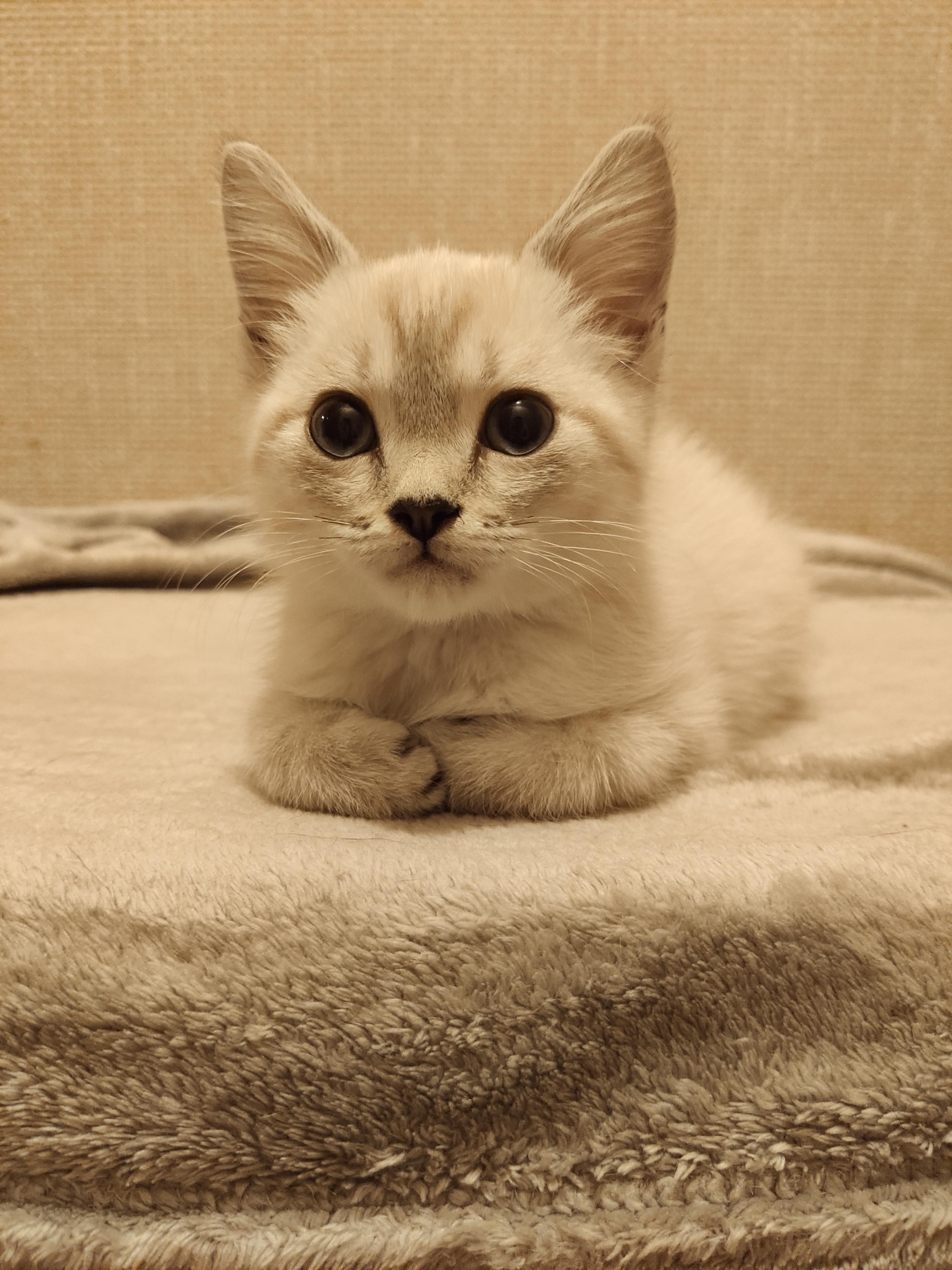 A very talkative, tiny loaf. | Scrolller