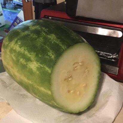 A Watermelon sized Cucumber | Scrolller