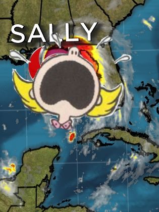 A wild Sally appeared. 😭 | Scrolller