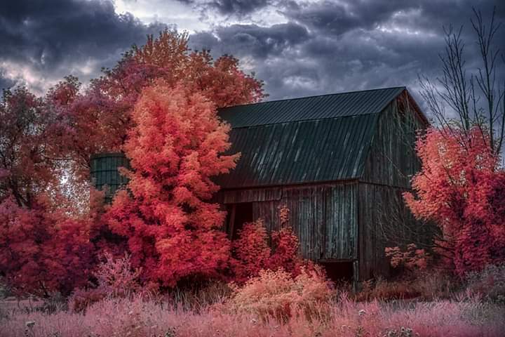 Discover more like InfraredPorn: Abandoned barn in infrared and Related Content | Scrolller