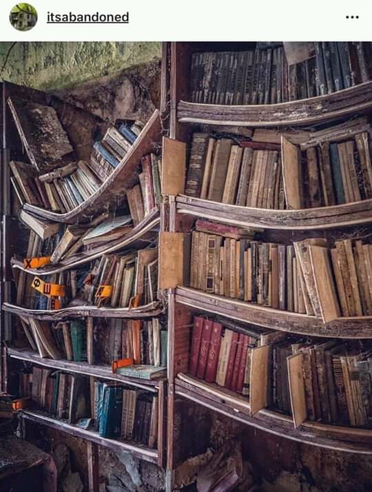 Abandoned library | Scrolller