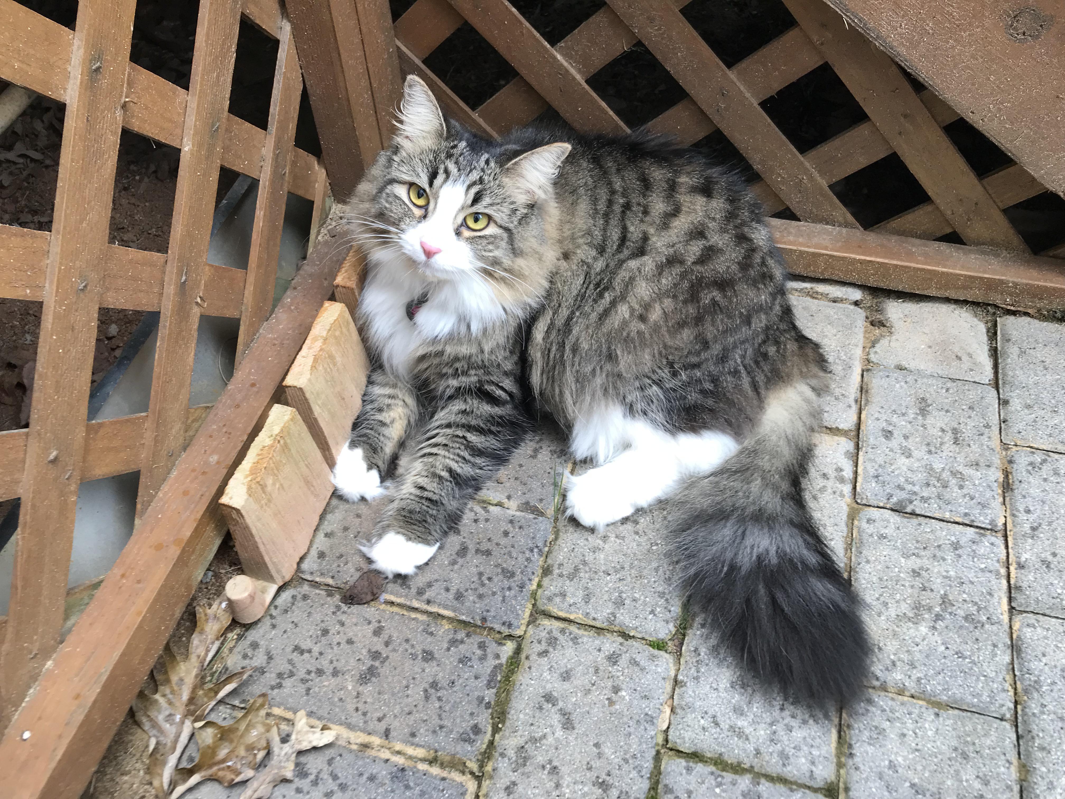 Abby’s little corner | Scrolller