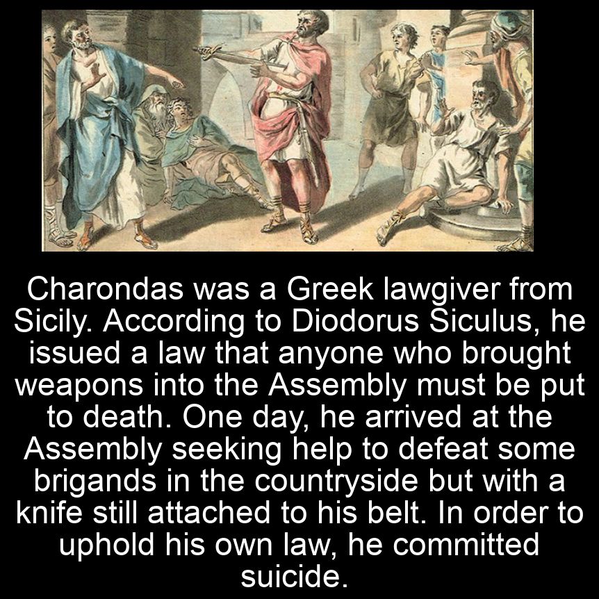 Absolute Law | Scrolller