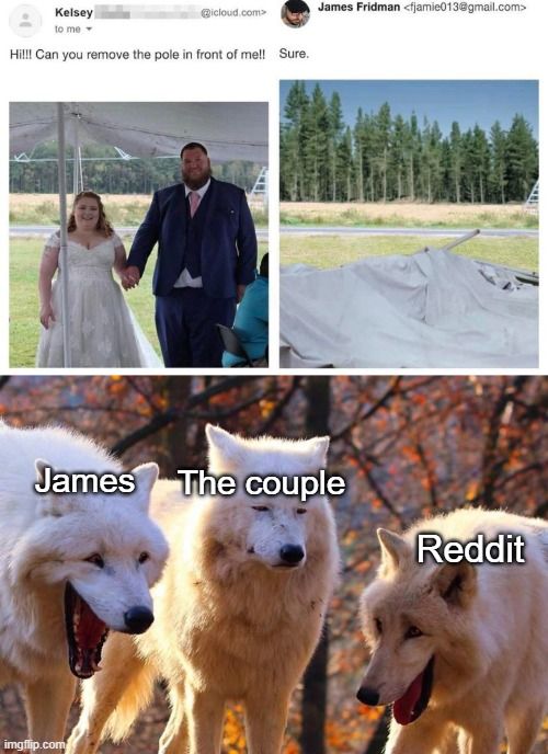 Absolute madlad! | Scrolller