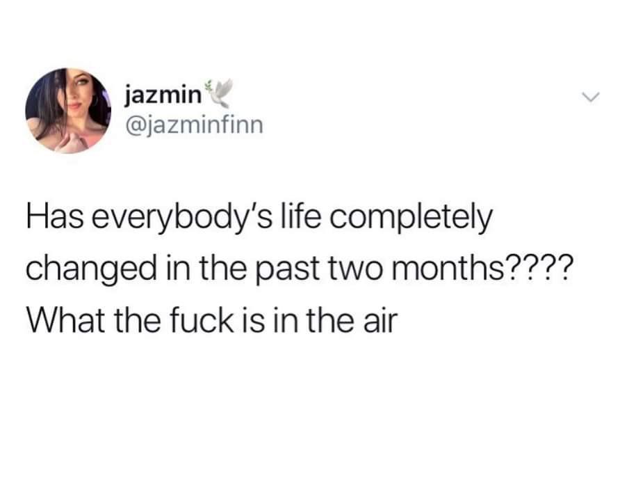 absolutelynotme_irl | Scrolller