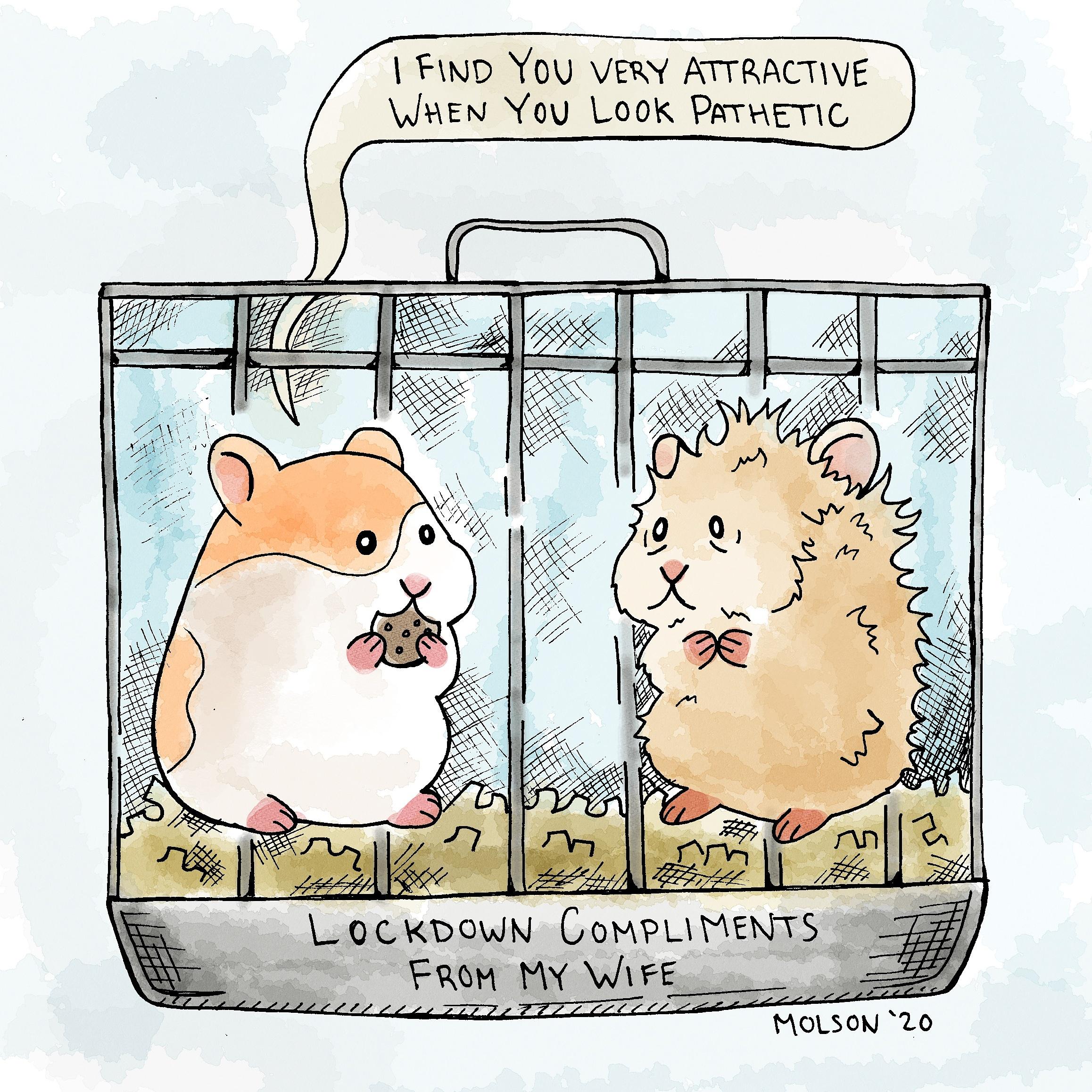 Accidental femdom? | Scrolller