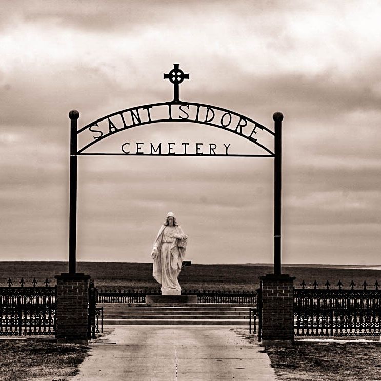 Accidental find | Scrolller