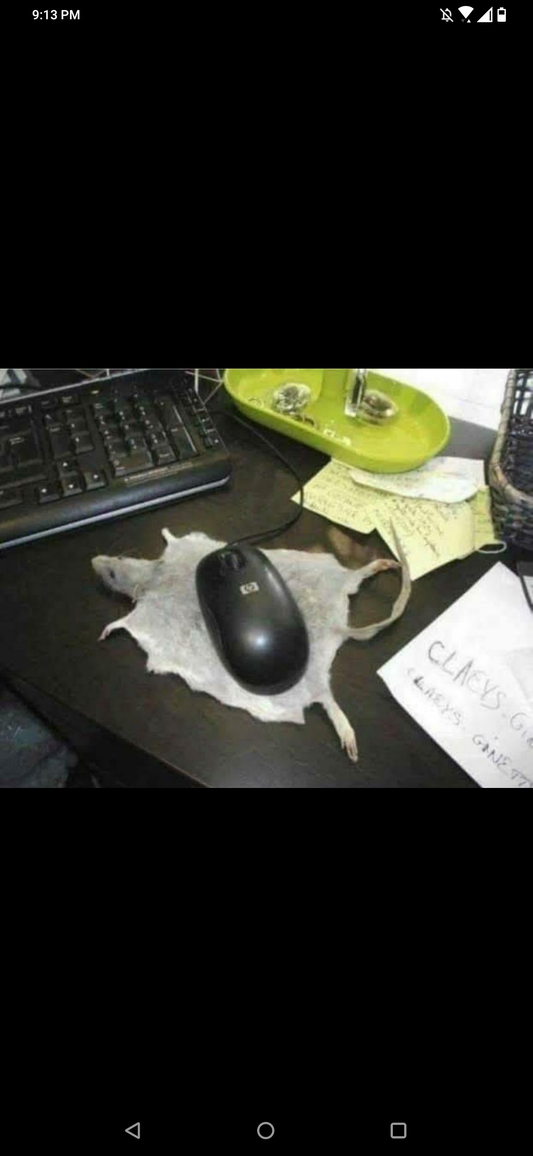 Actual Mouse | Scrolller