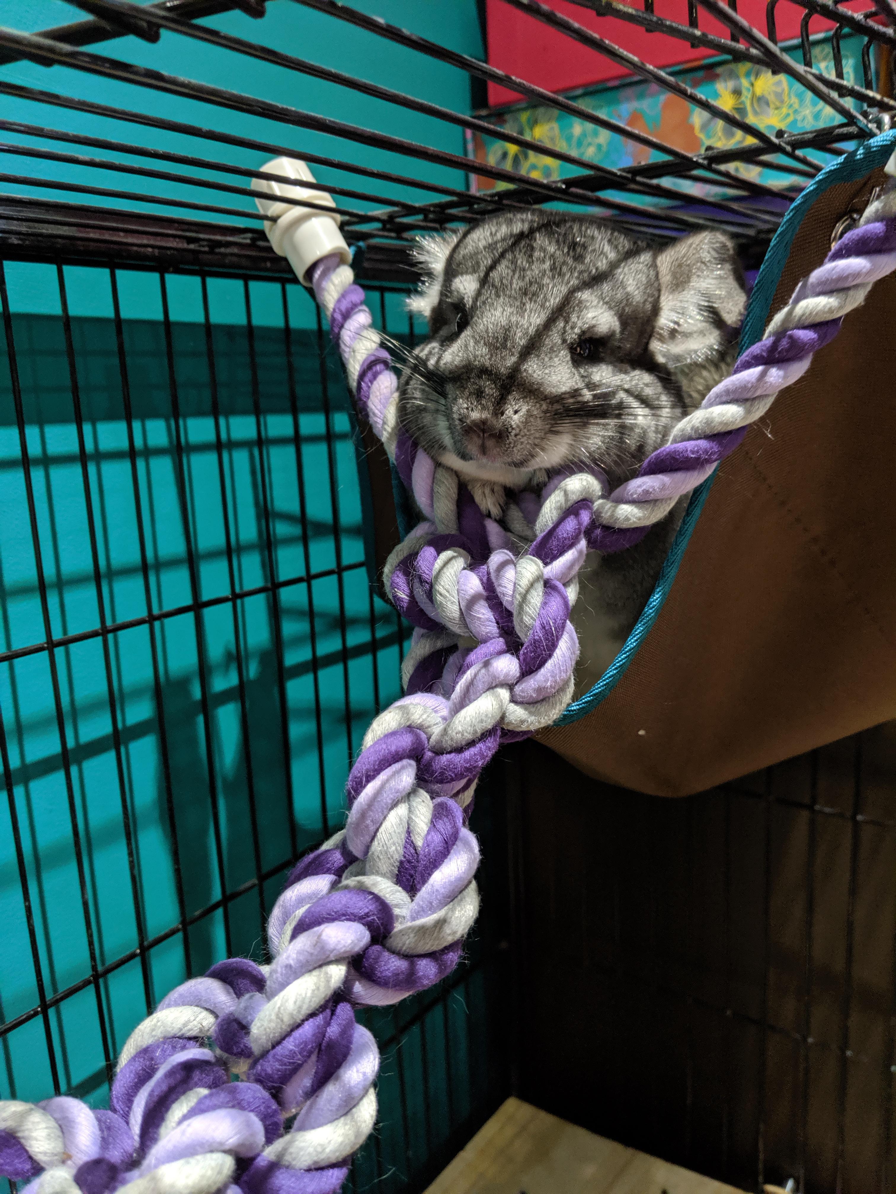 Adorableness overload | Scrolller